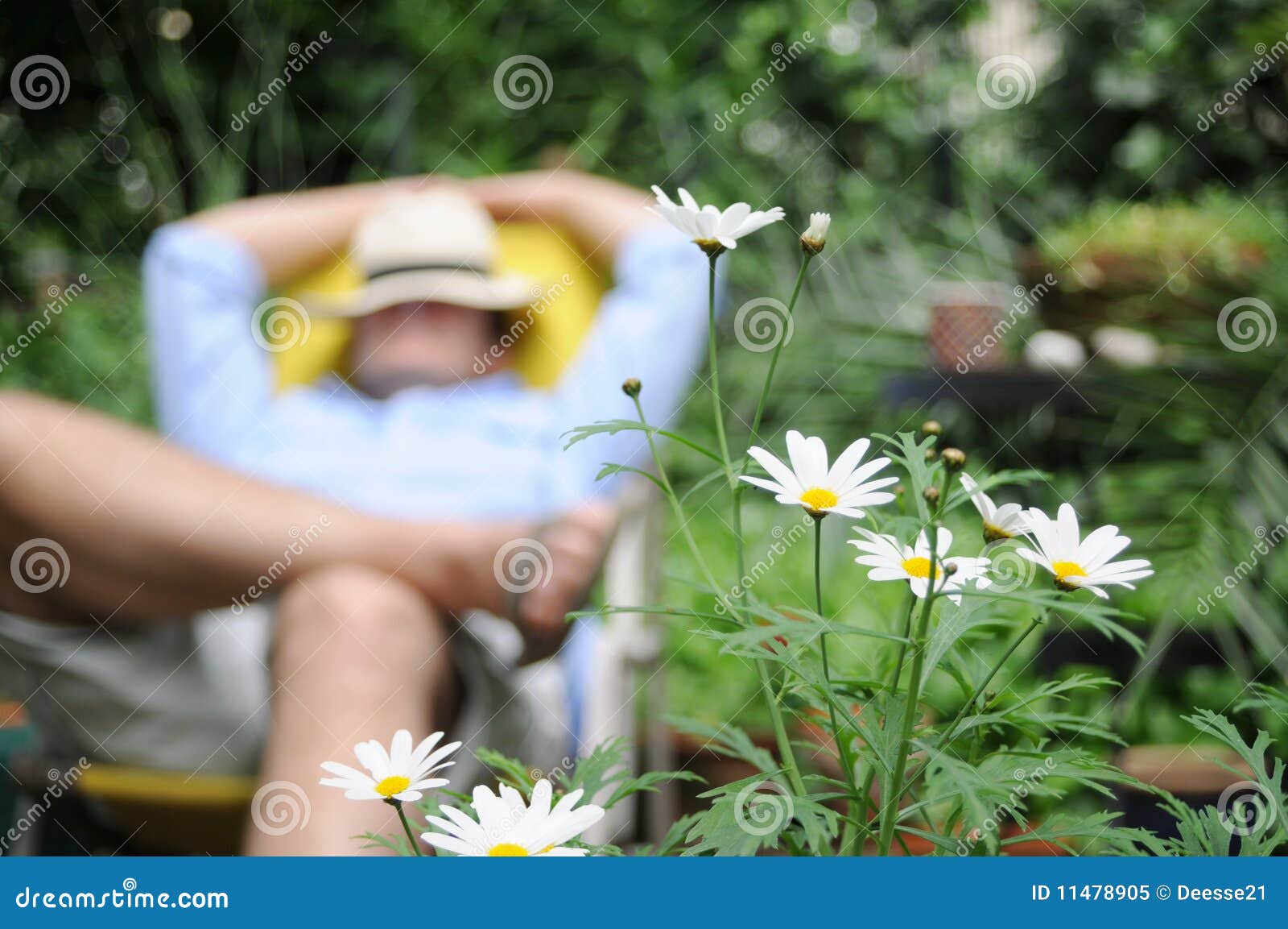 Man resting in the garden stock image. Image of restful - 11478905