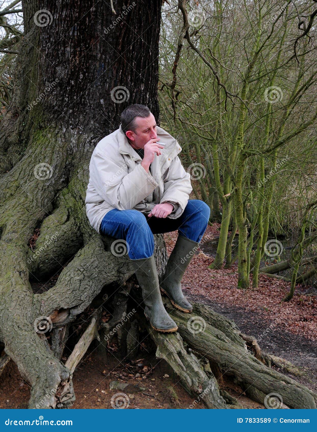 Man resting on a tree stock image. Image of tree, relax - 7833589