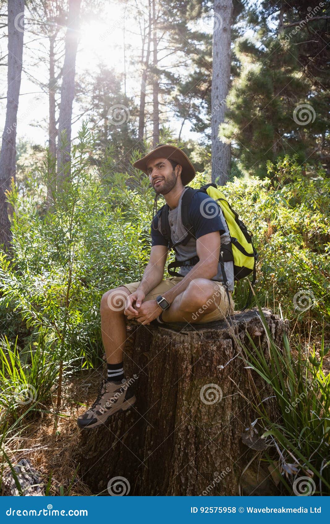 Man Resting on the Tree Stump in the Forest Stock Photo - Image of ...