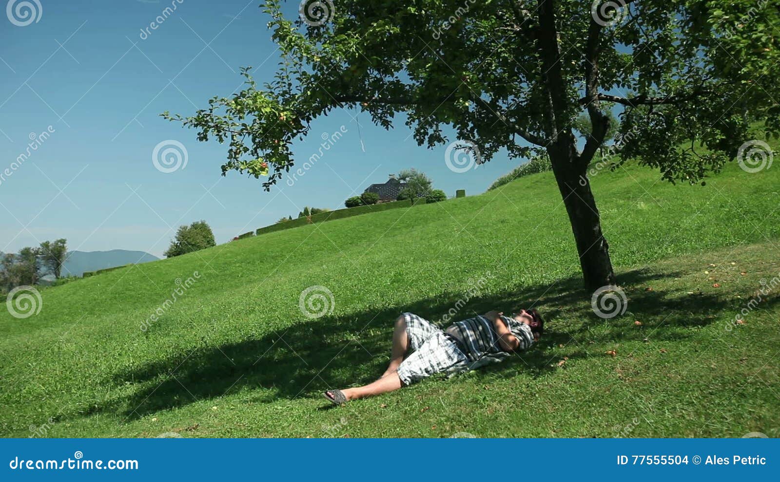 Man Resting Under Tree on Huge Lawn Stock Footage - Video of adventure ...