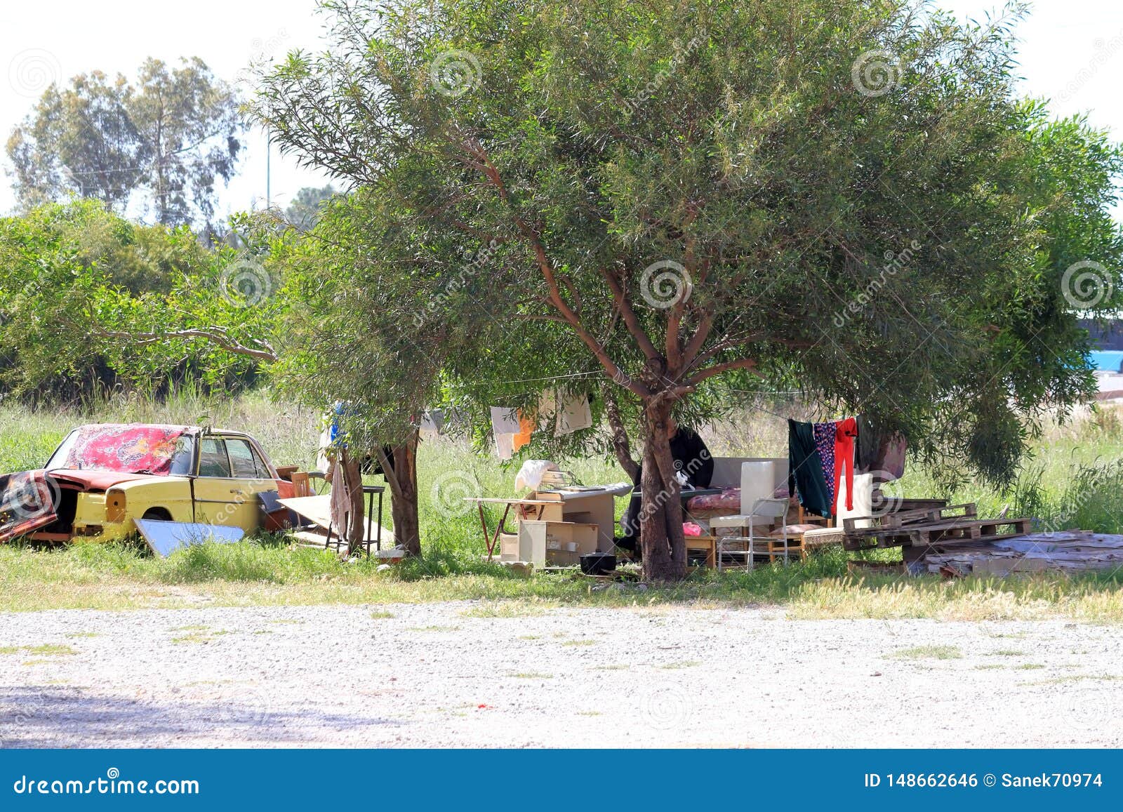 A Man is Resting Under a Tree Stock Photo - Image of animal, outdoor ...