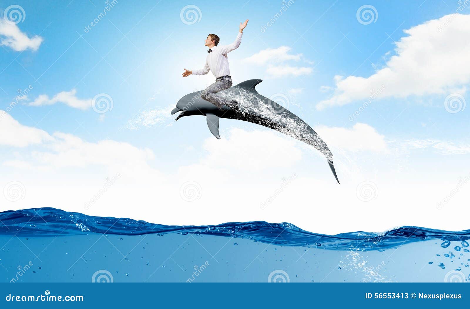 Man ride dolphin stock image. Image of play, human, clever - 56553413