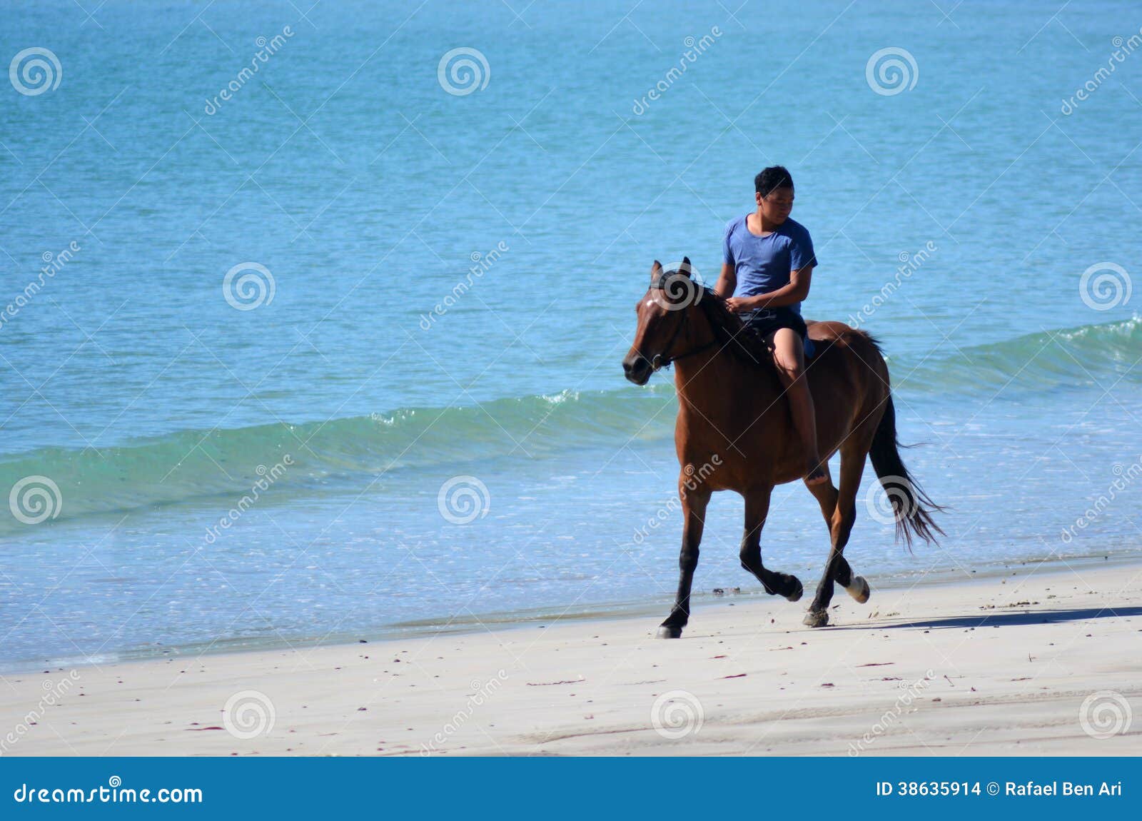 Man ride horse editorial stock image. Image of happy - 38635914