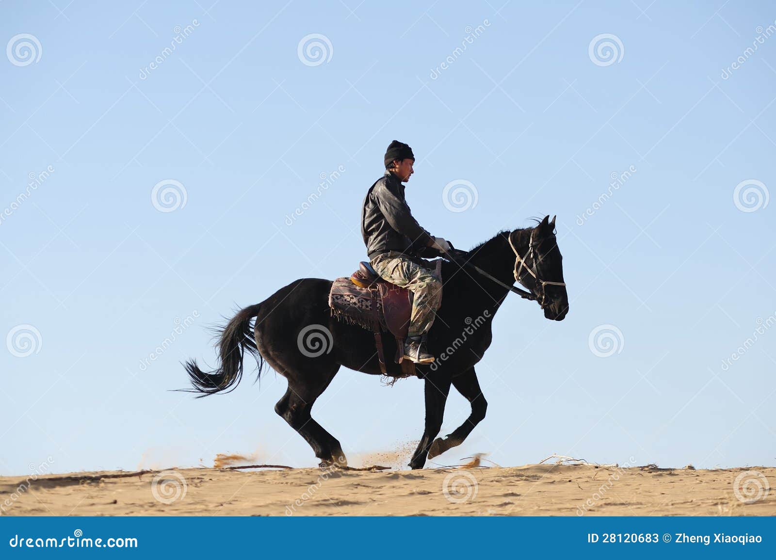 Man rides the horse stock image. Image of beauty, nature - 28120683