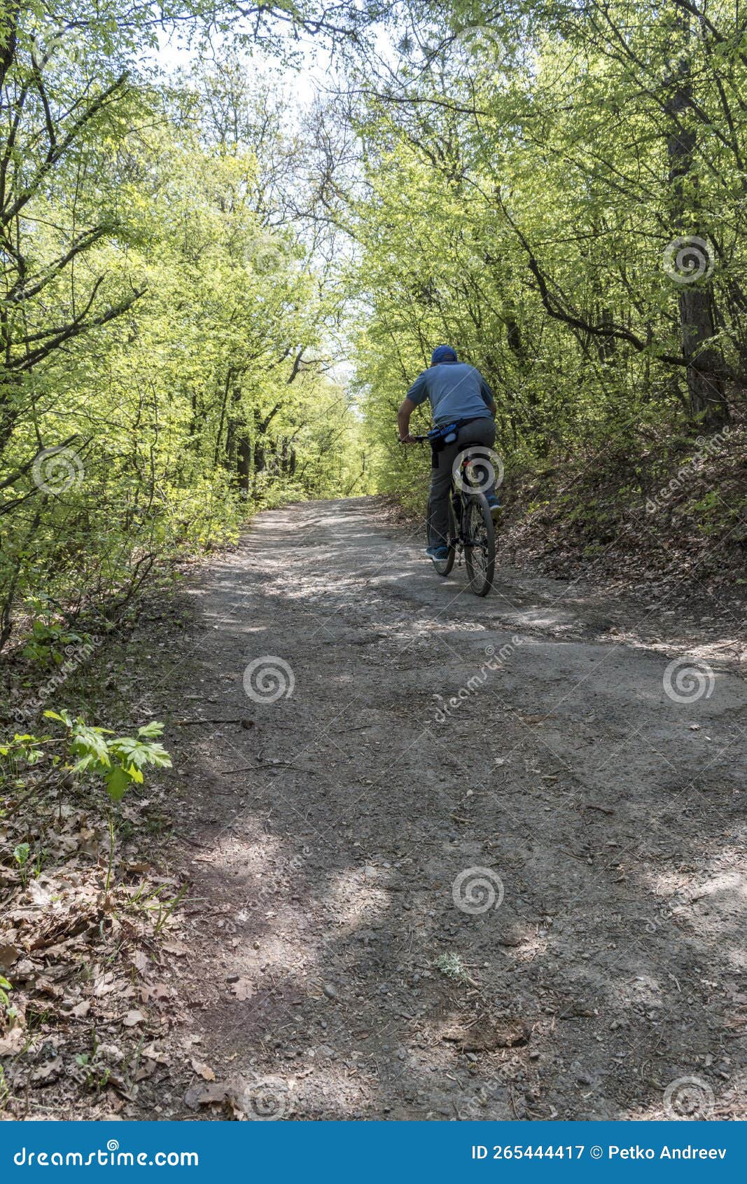 A Man Riding a Bicycle on the Driveway in the Park Stock Image - Image ...