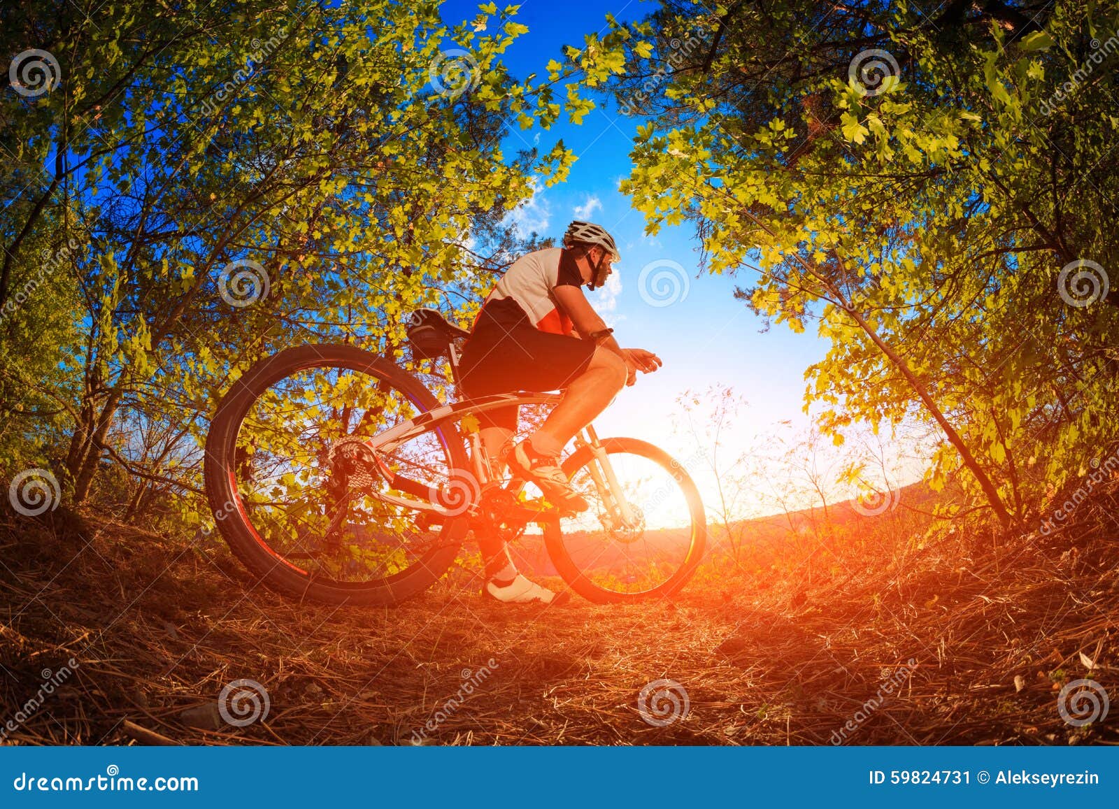Man Riding a Bicycle in Nature Stock Image - Image of caucasian ...