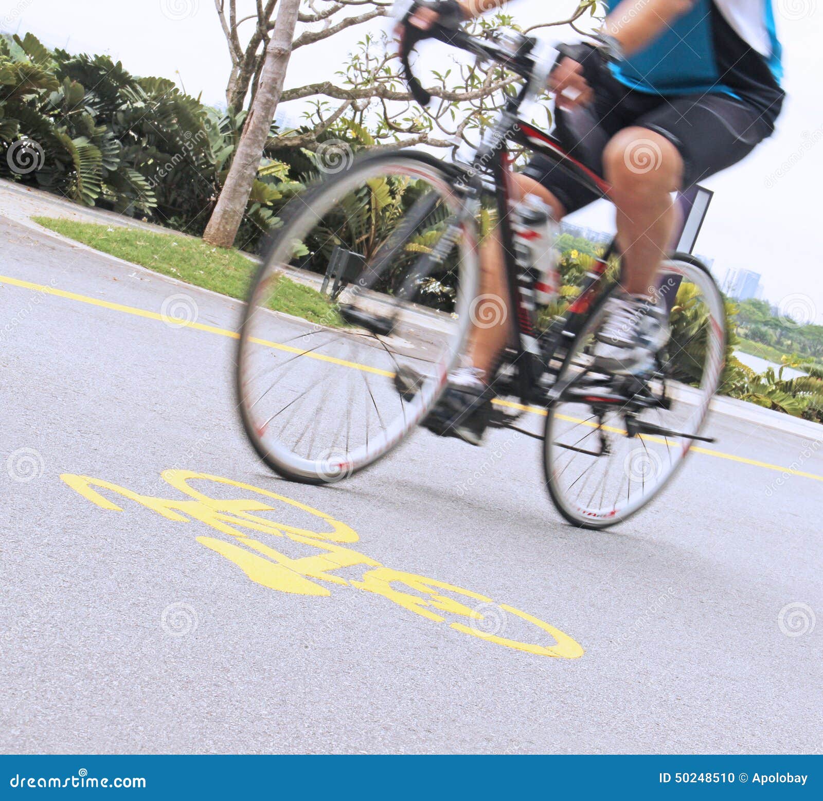 Man Riding a Bicycle in the Park, Selective Focus Stock Photo - Image ...