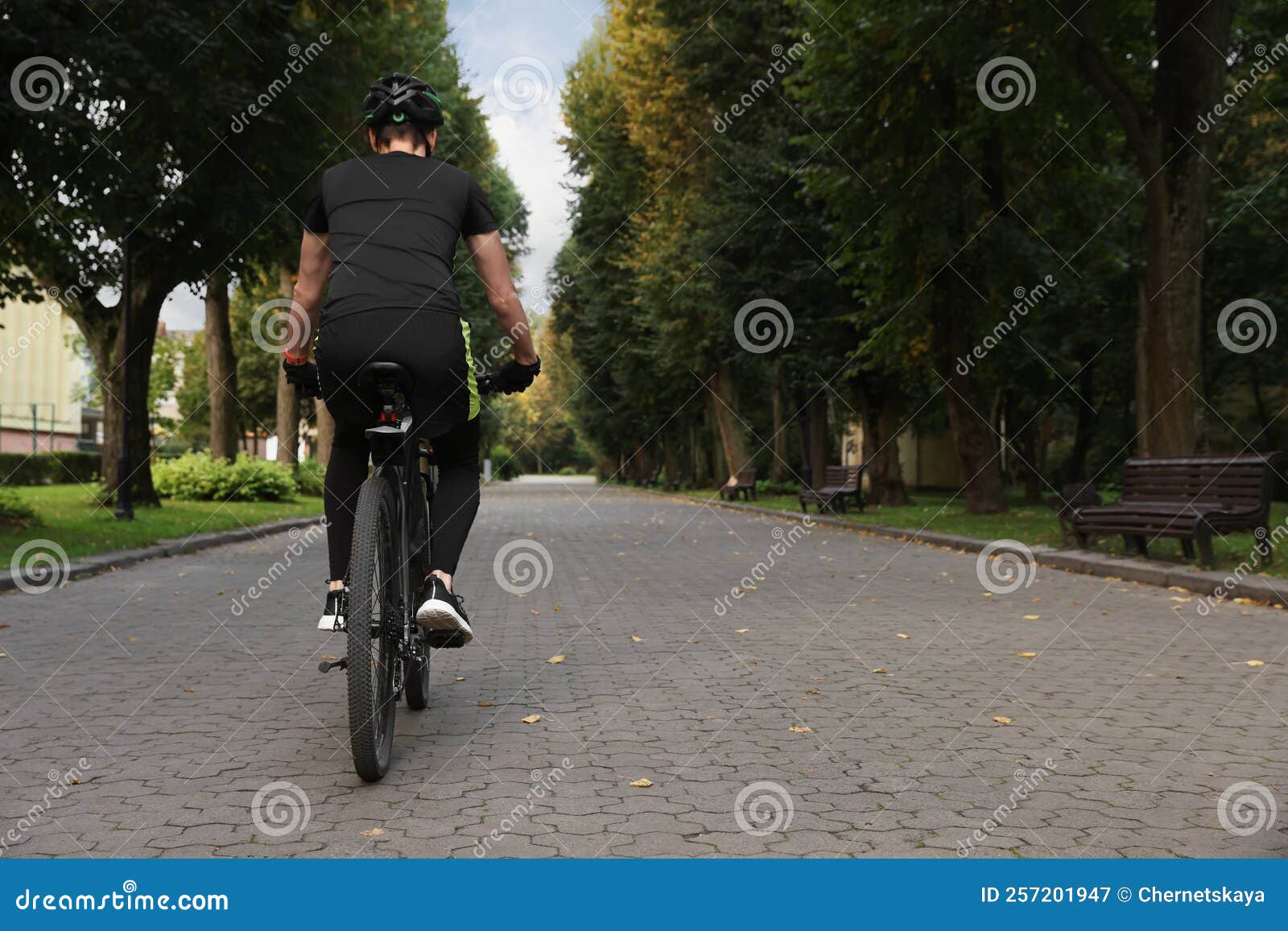 Man Riding Bicycle on Road Outdoors, Back View. Space for Text Stock ...