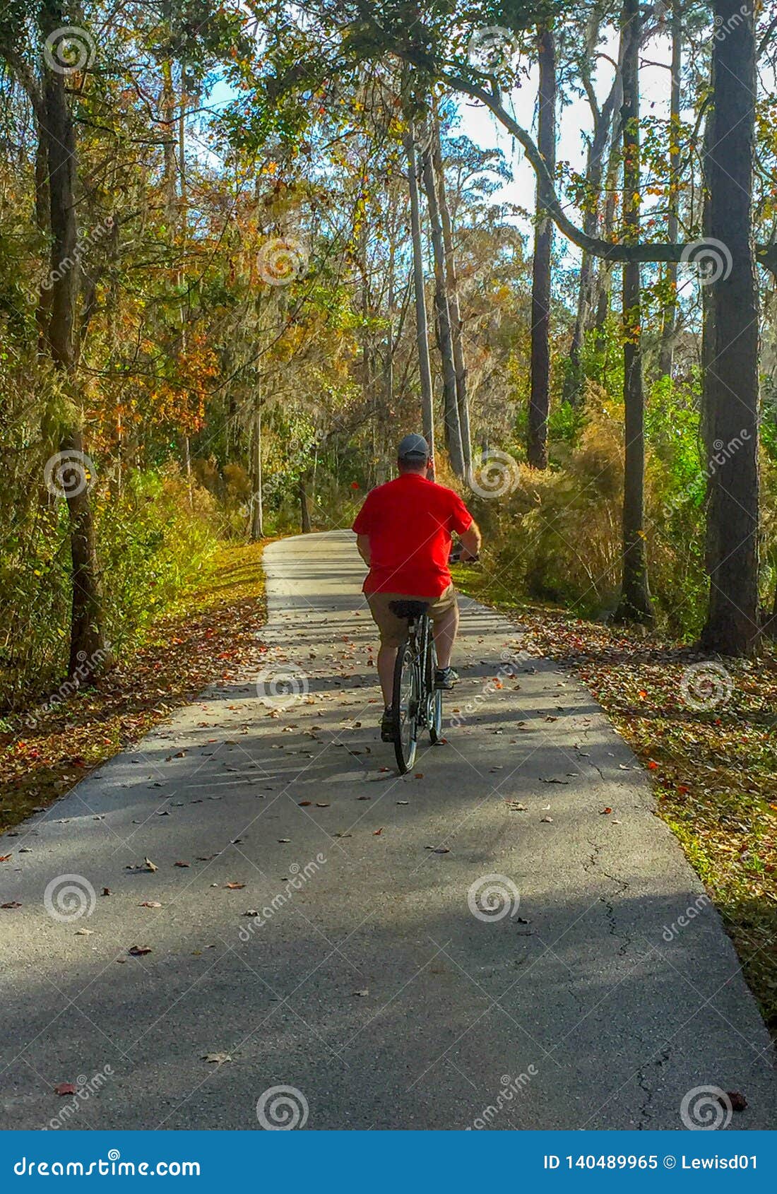 Man Riding Bike through Pathway during the Fall Stock Image - Image of ...