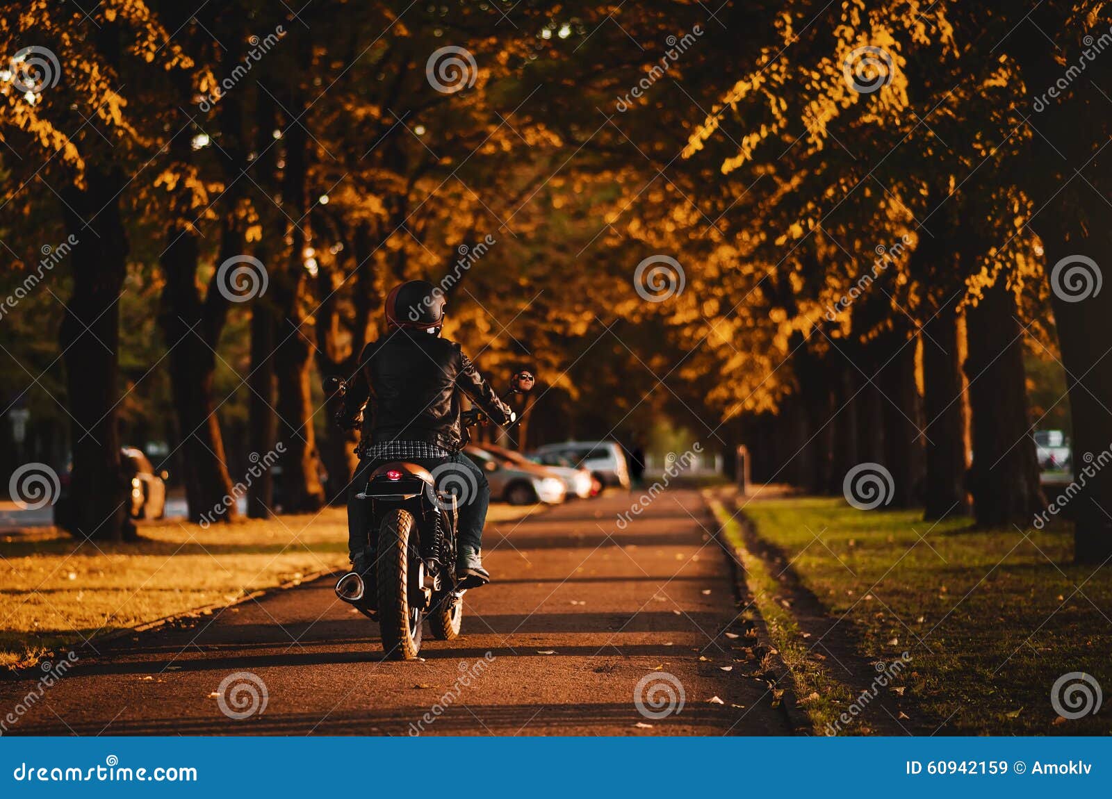 Man Riding a Cafe-racer Motorcycle Stock Image - Image of outdoor, park ...