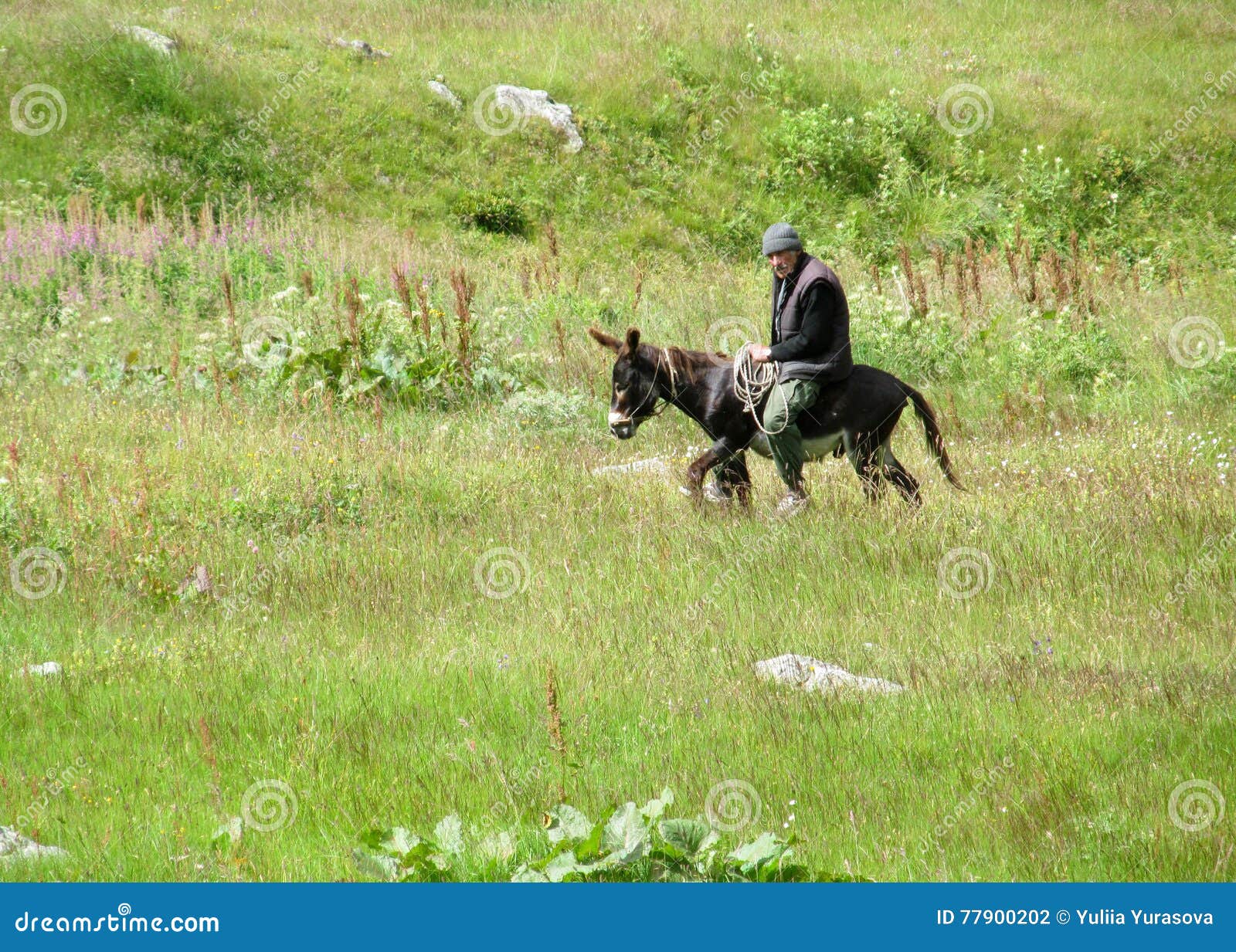 Man riding a donkey editorial photography. Image of altitude - 77900202