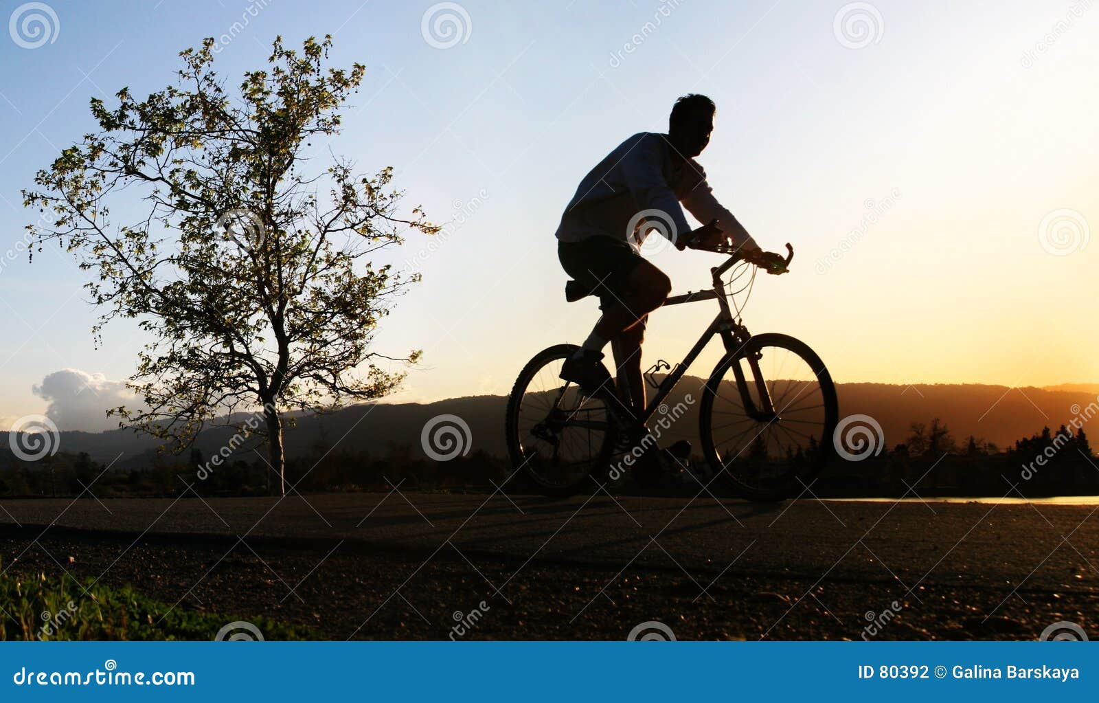 Man riding his bike stock photo. Image of path, lonely, cycle - 80392