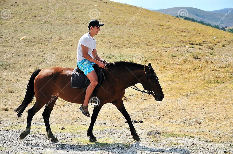 Man riding a horse stock photo. Image of success, animal - 12028224