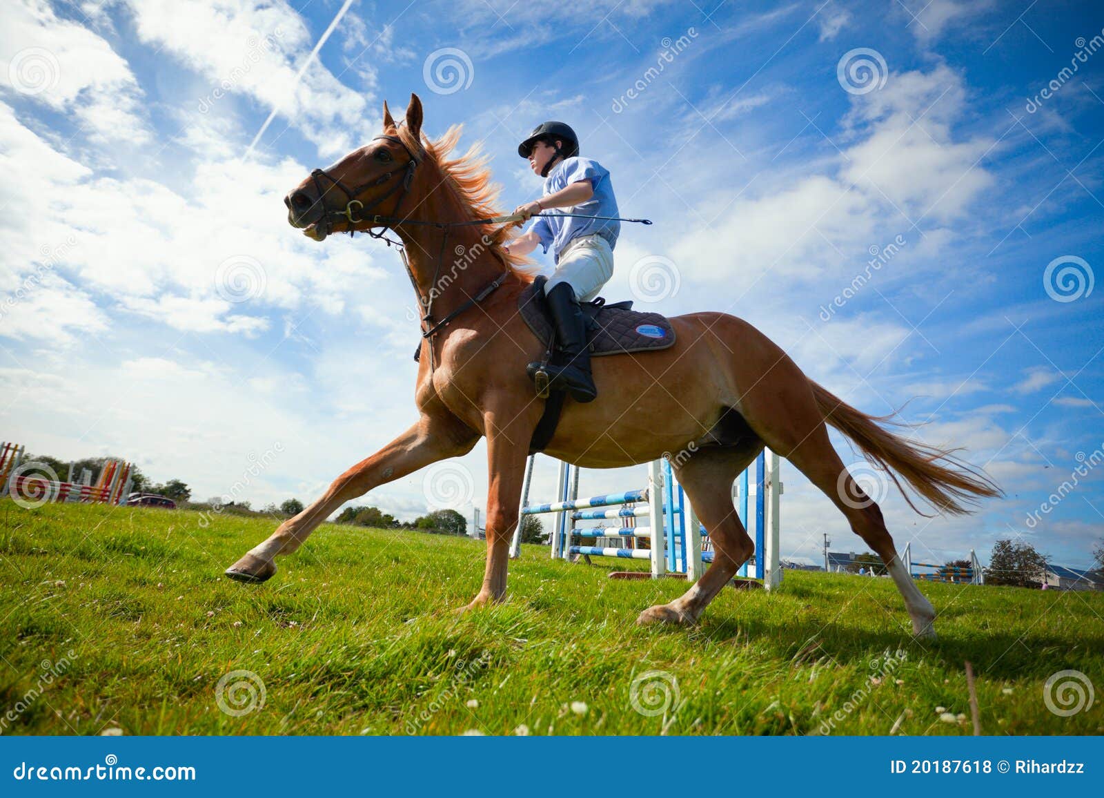 Man riding with horse editorial stock photo. Image of active - 20187618