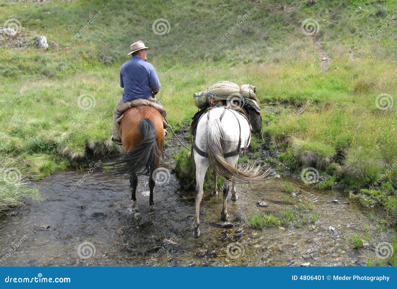 Man riding horse stock image. Image of mountains, kosciuszko - 4806401