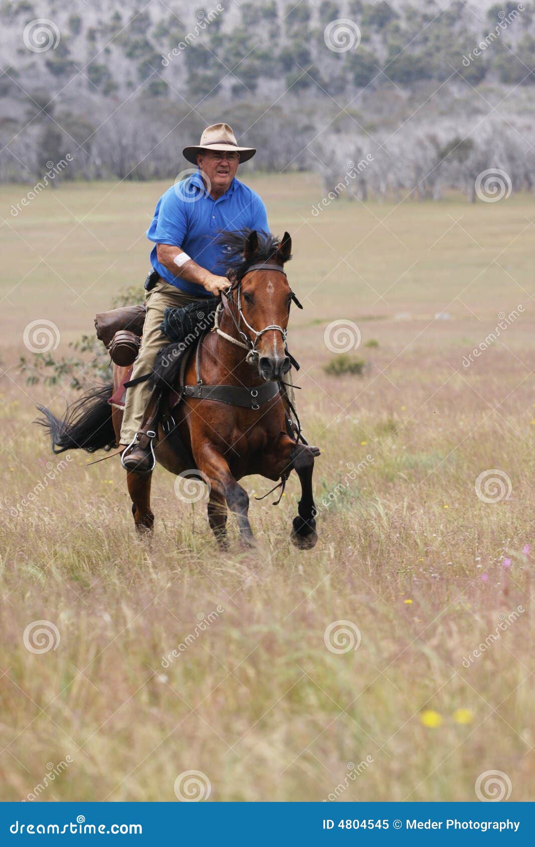 Man riding horse at speed stock image. Image of horseriding - 4804545