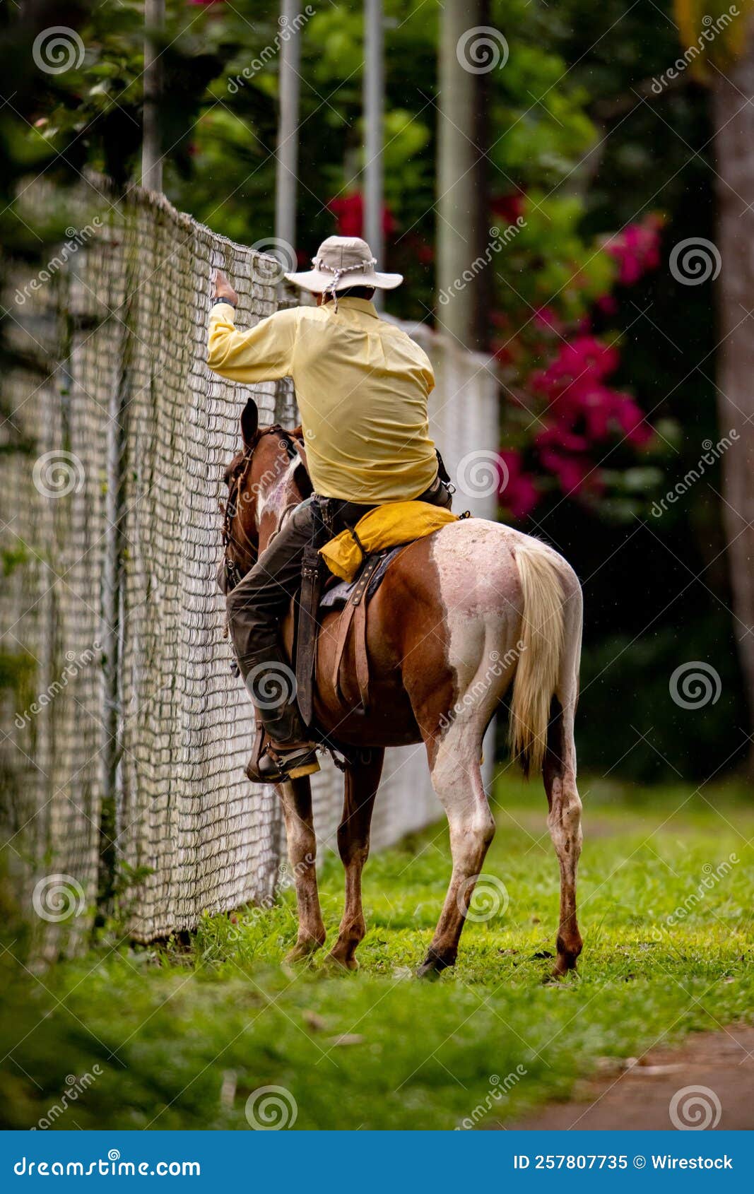 Man Riding a Horse in a Village Stock Image - Image of stallion ...