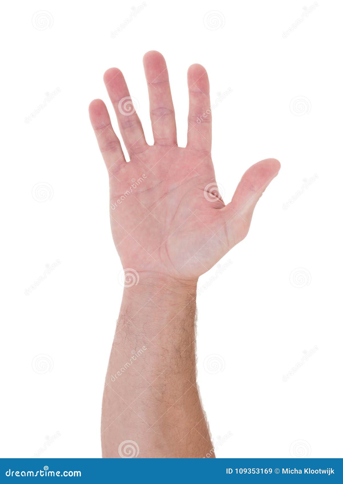 Man rising his hand stock image. Image of raised, voting - 109353169