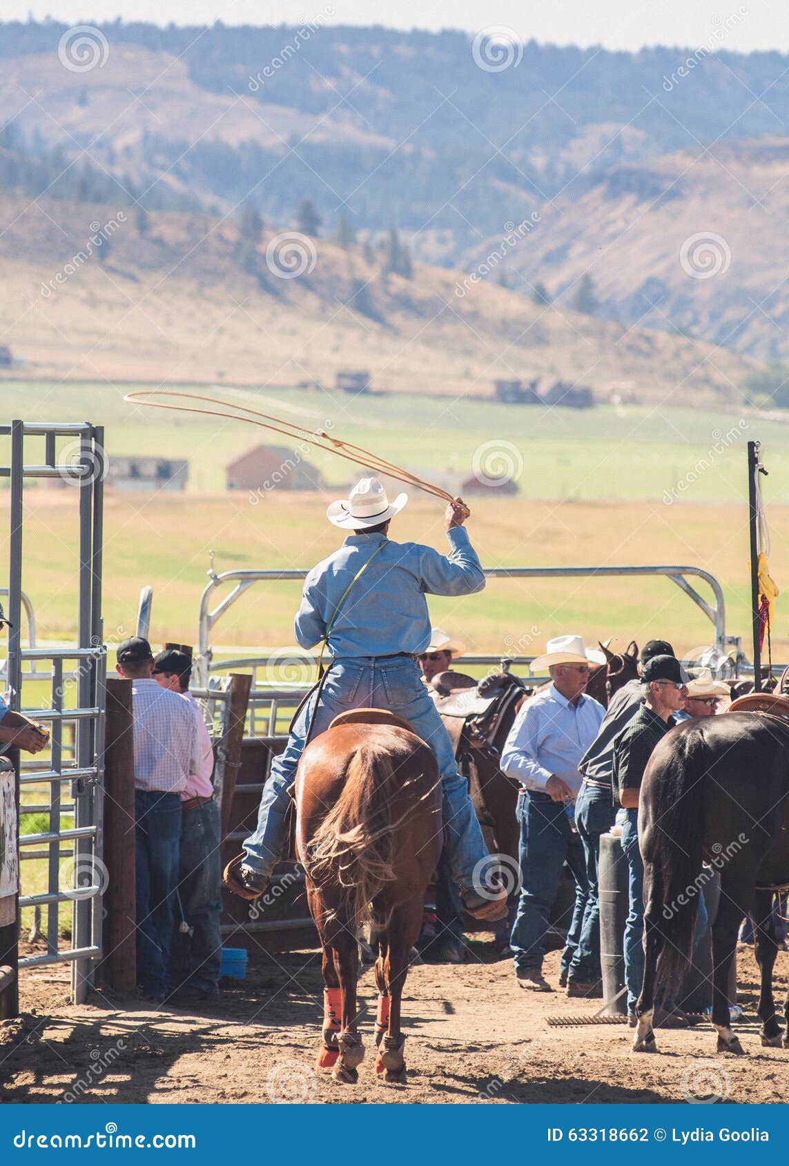 Man at a rodeo. editorial photography. Image of wears - 63318662
