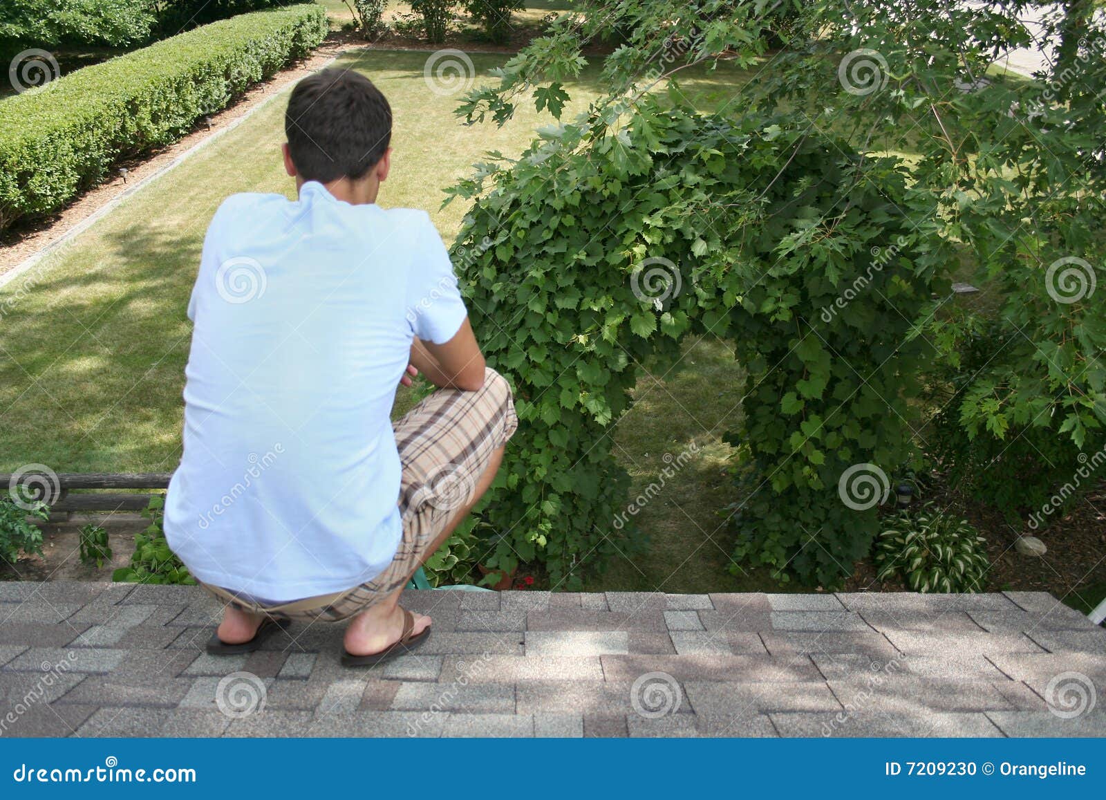 Man on Roof stock photo. Image of joyful, grass, excited - 7209230