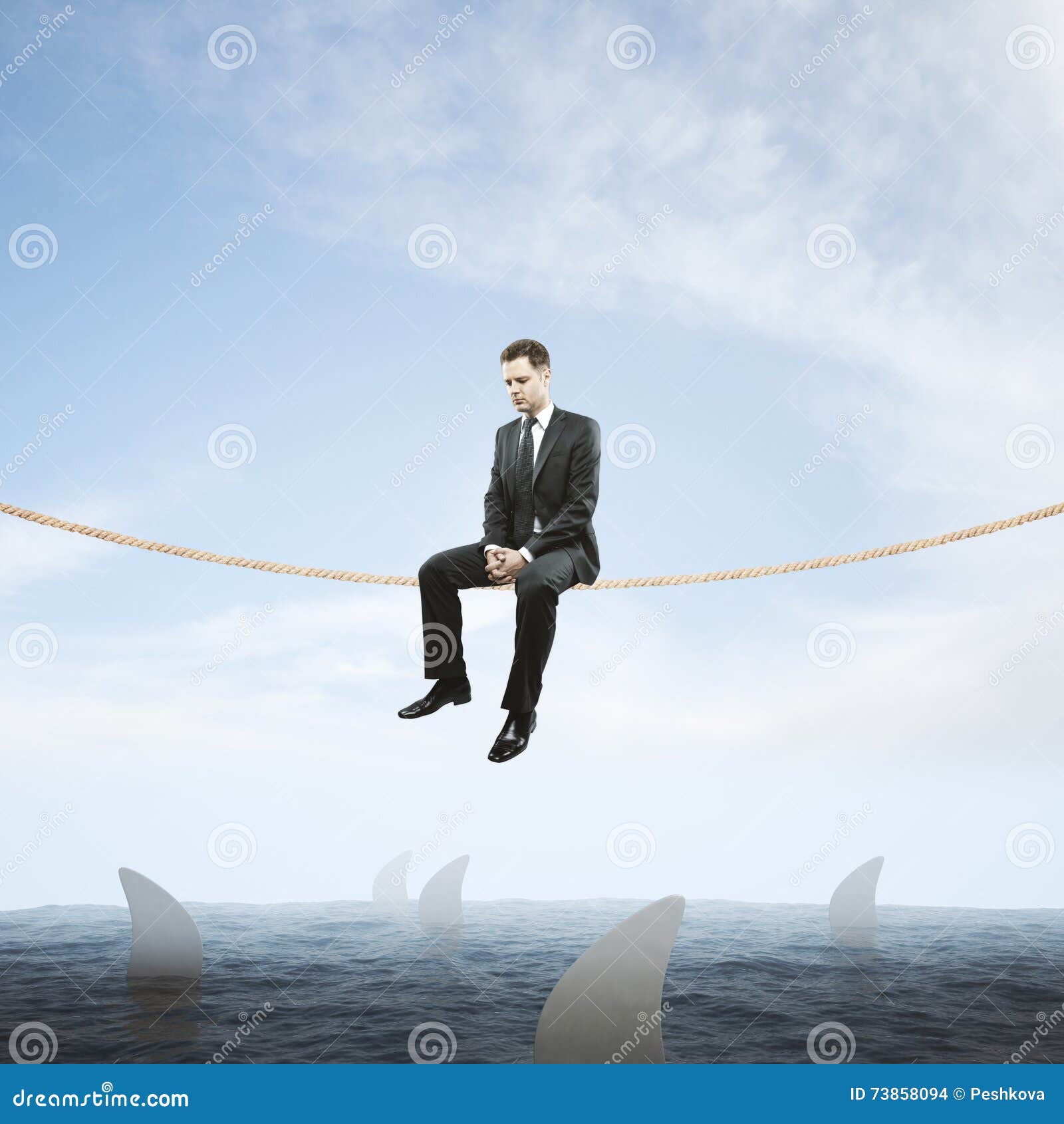 193 Competition Sharks Stock Photos - Free & Royalty-Free Stock Photos ...