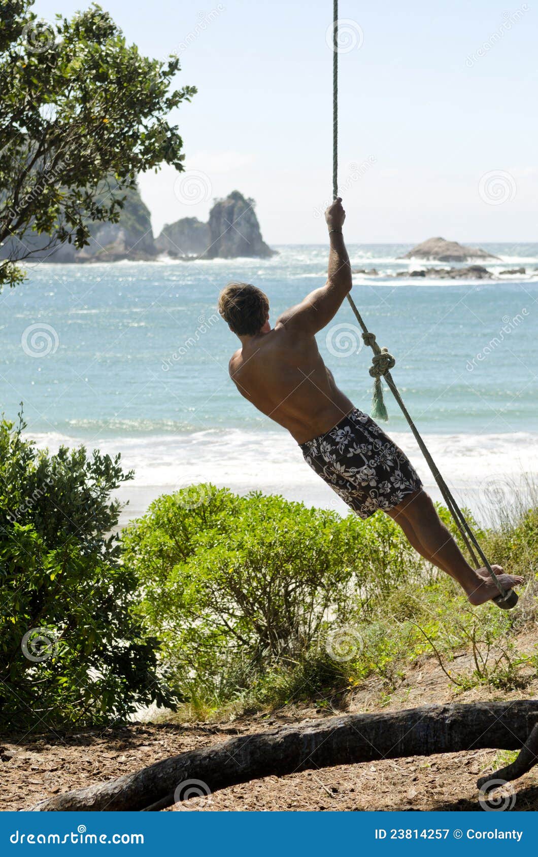 Man on rope swing stock image. Image of beautiful, spring - 23814257