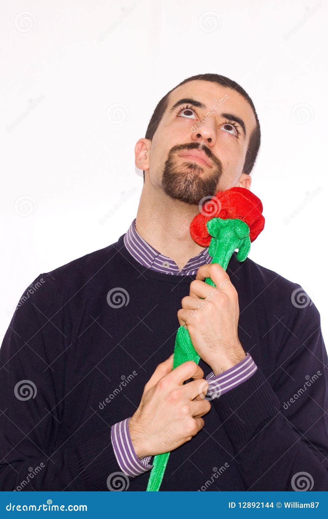 Man with rose stock photo. Image of passion, people, hold - 12892144