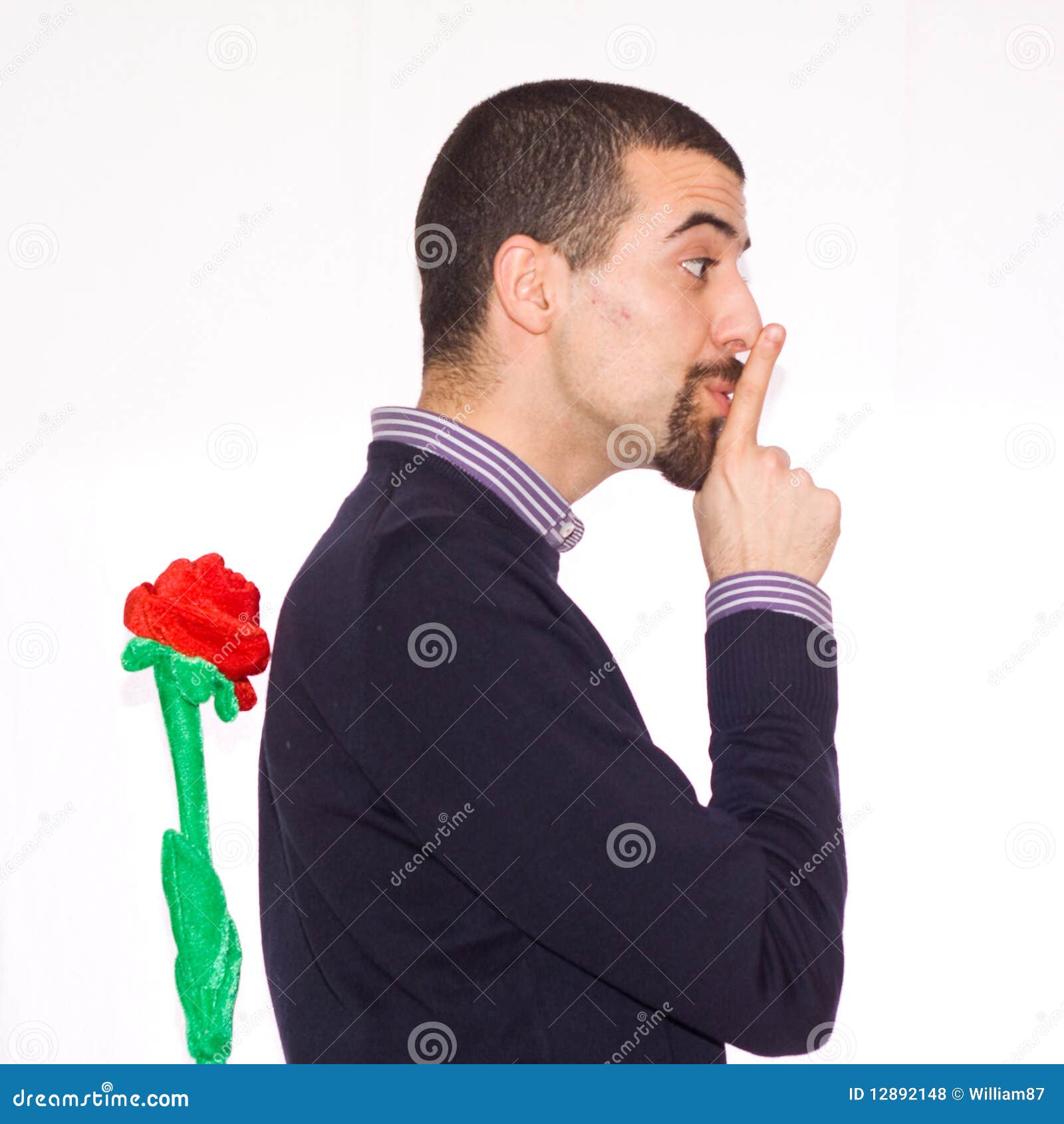 Man with rose stock photo. Image of happy, shirt, passion - 12892148
