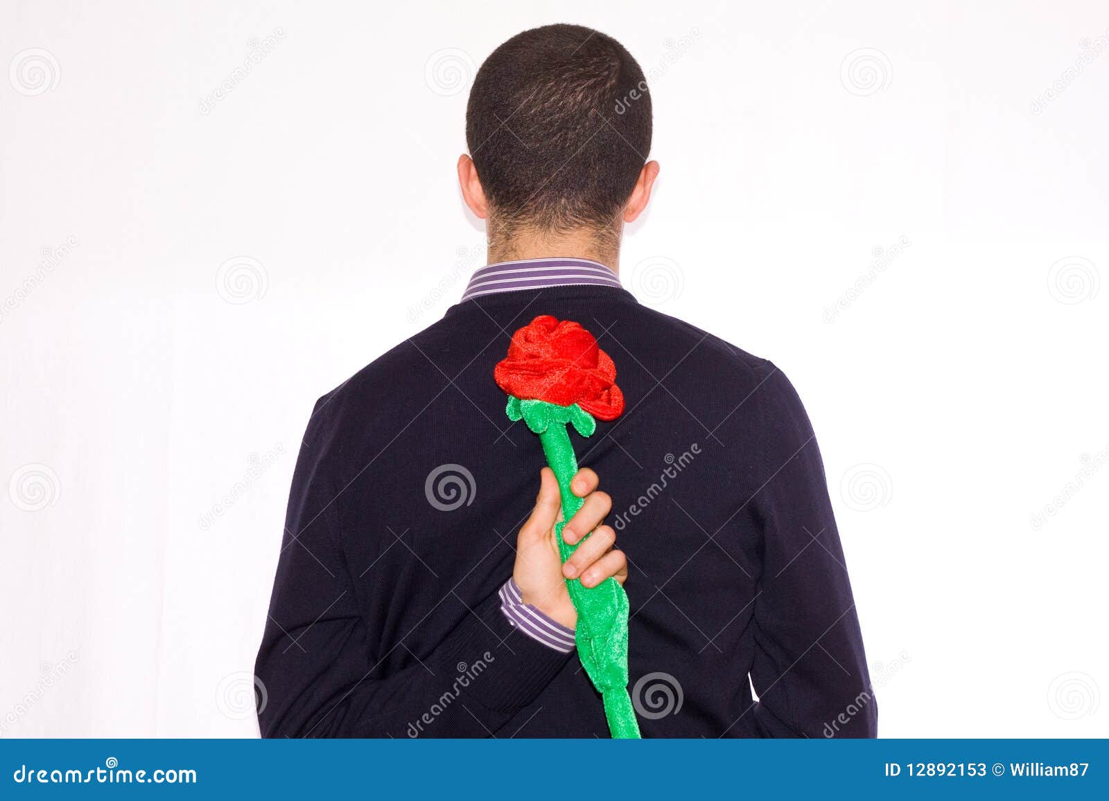Man with rose stock image. Image of smile, gift, love - 12892153
