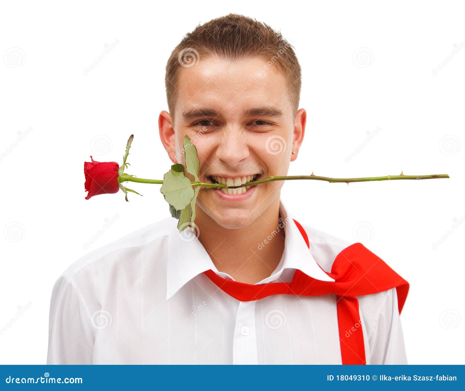 Man with rose stock photo. Image of caucasian, flower - 18049310