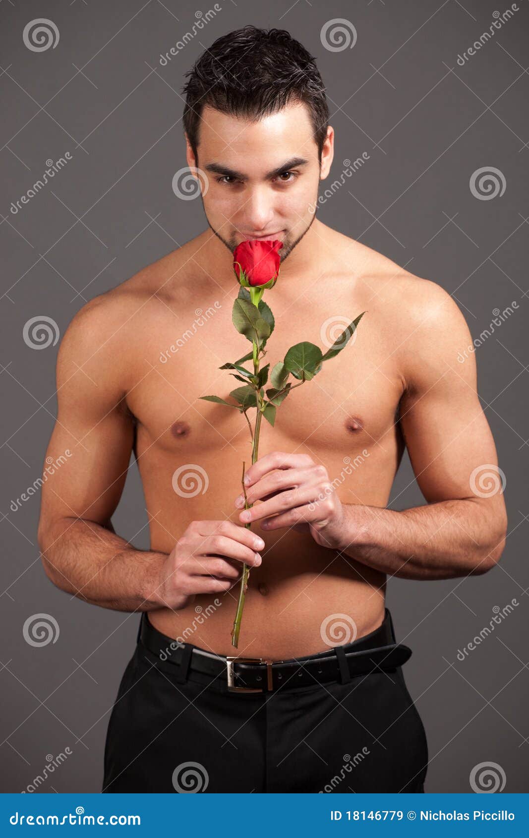 Man with Rose stock image. Image of date, single, shirtless - 18146779