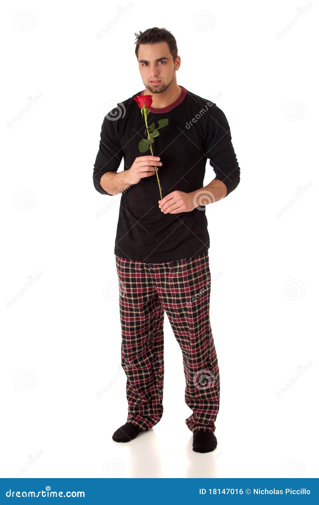 Man with Rose stock photo. Image of attractive, male - 18147016