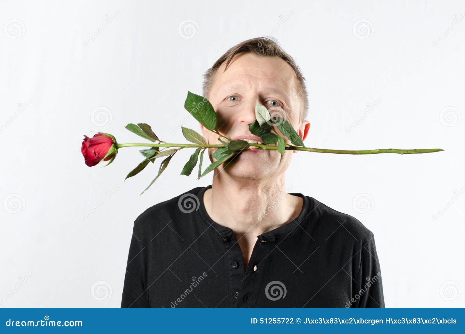 Man with rose stock photo. Image of short, color, friend - 51255722