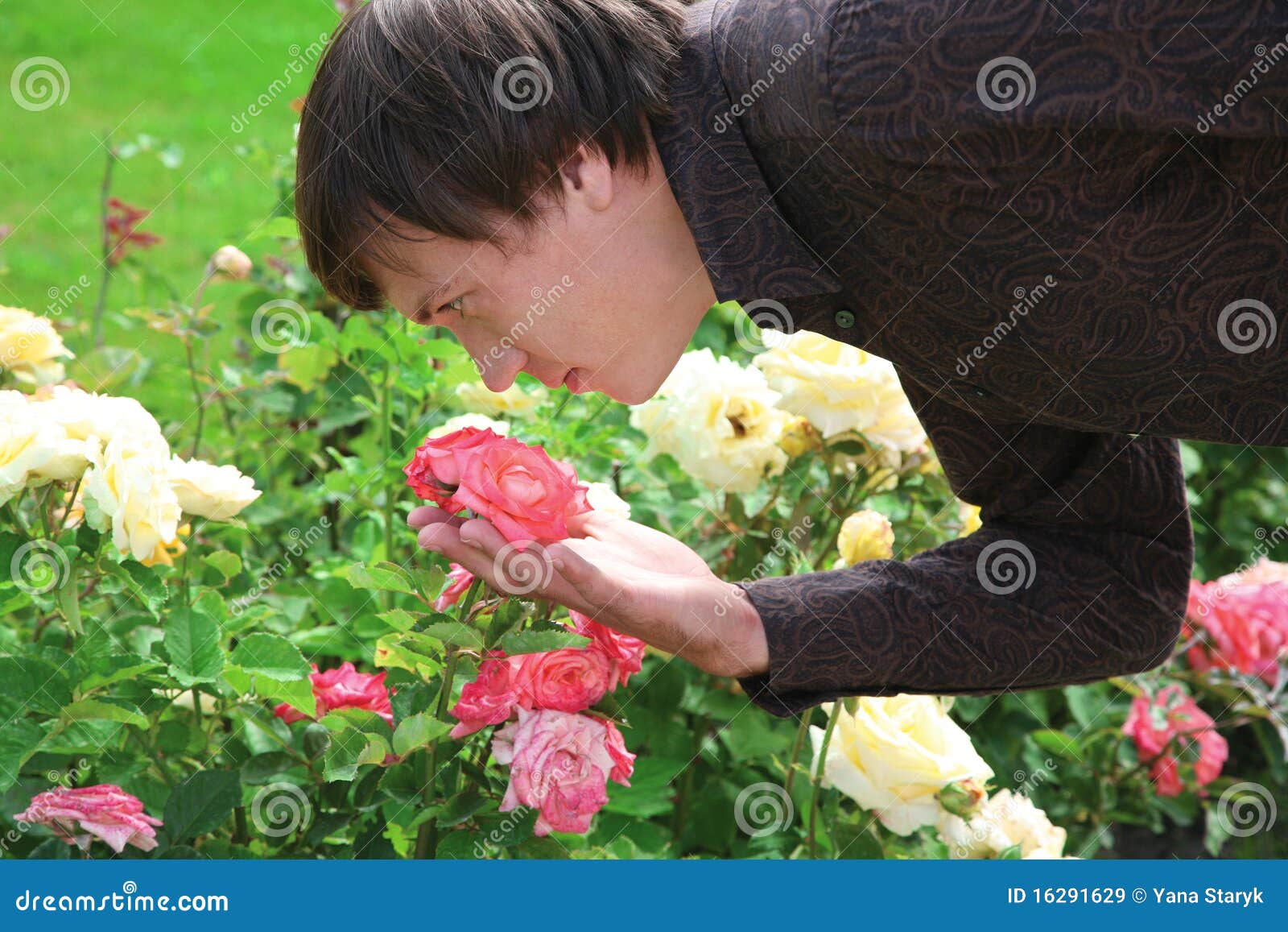 Man with roses stock image. Image of summer, portrait - 16291629