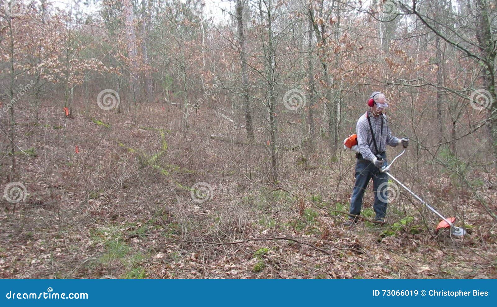 Man running a Brush Cutter stock video. Video of trees - 73066019