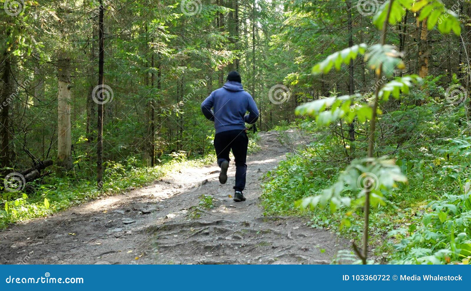 Man Running in Forest. Athletic Man Running in Forest Trail Stock Photo ...