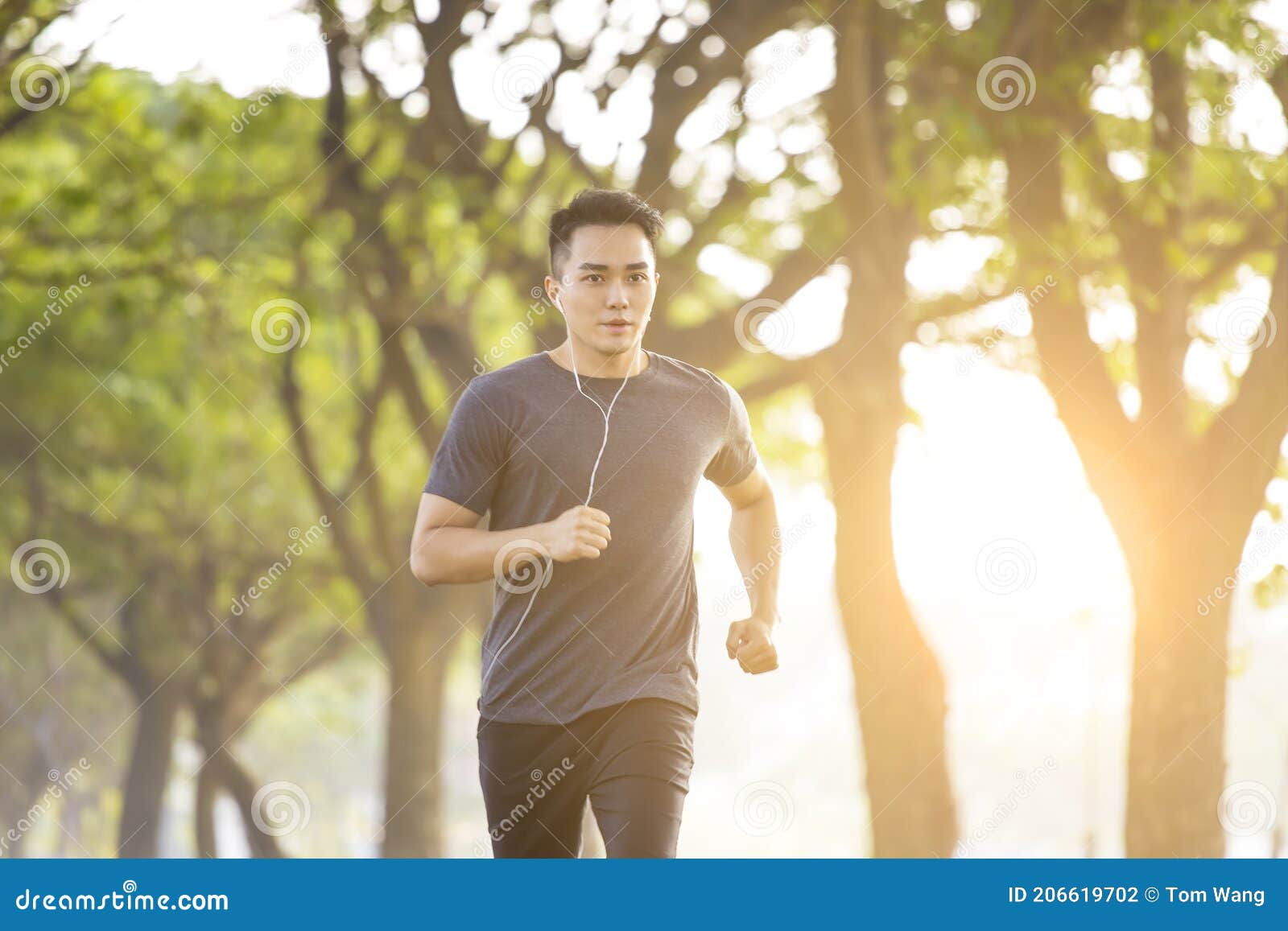 Man Running in the Forest on Foggy at Spring Morning Stock Photo ...