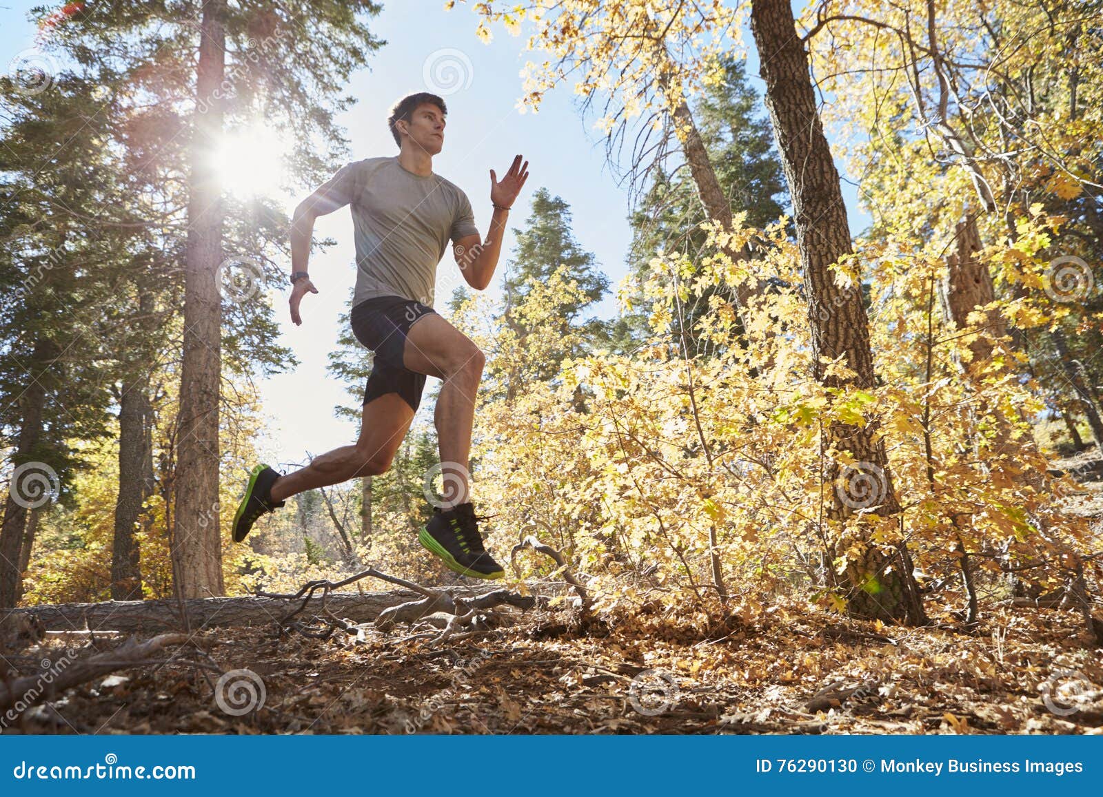 Man Running in a Forest Jumps Over Branches, Low Angle View Stock Photo ...