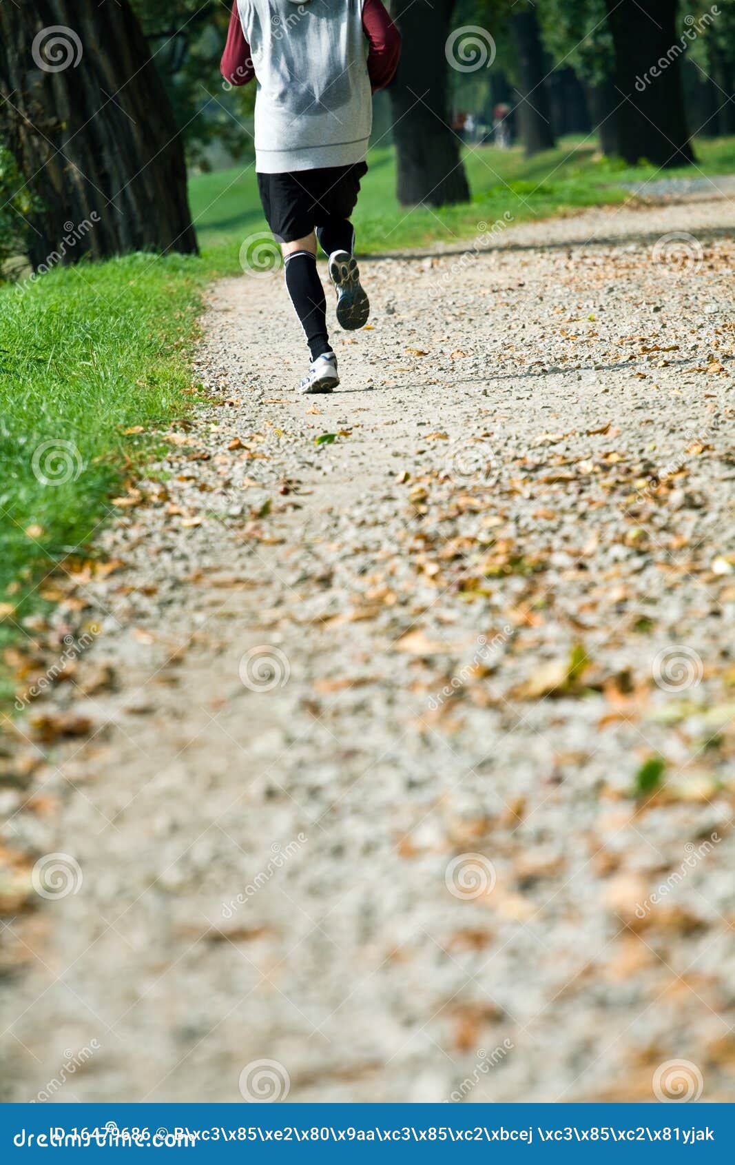Man running in park stock photo. Image of male, athlete - 16479686