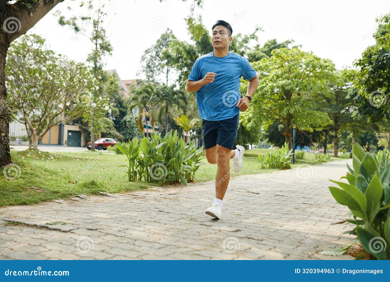 Man Running in Park for Morning Exercise Stock Image - Image of ...