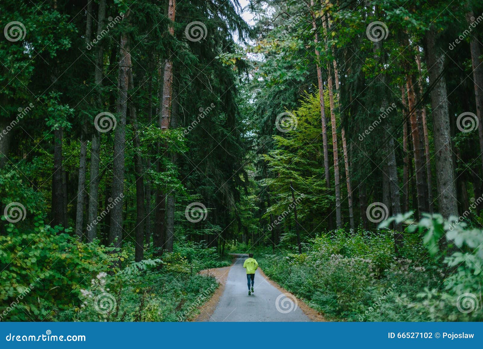 Man Running on Path in Old Green Forest. Stock Photo - Image of beauty ...