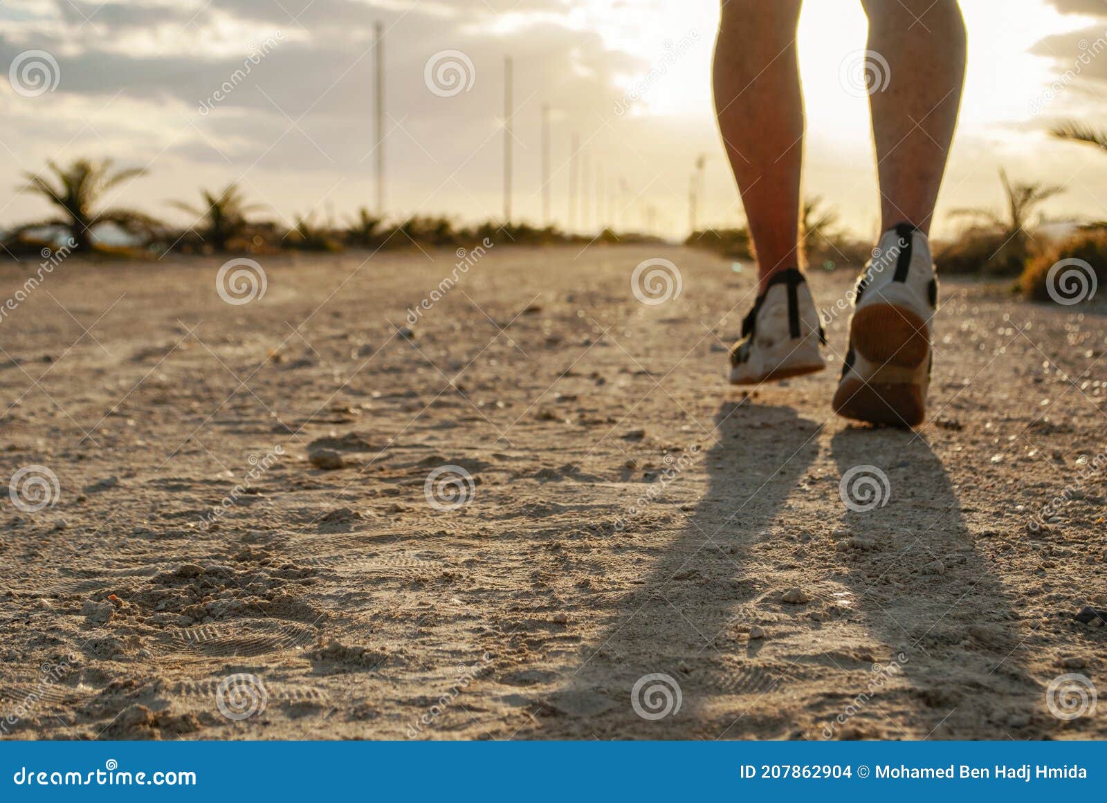 Jogging in the evening. stock photo. Image of morning - 207862904