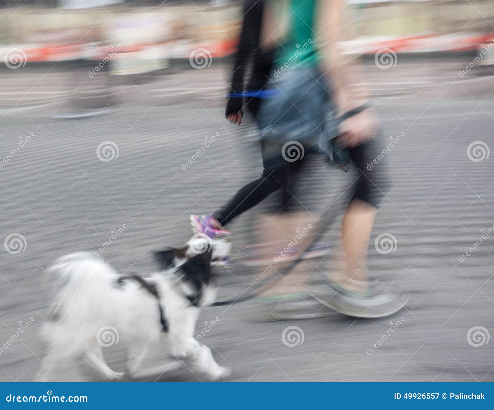 Man Runs with His Dog Outside Stock Image - Image of road, handsome ...