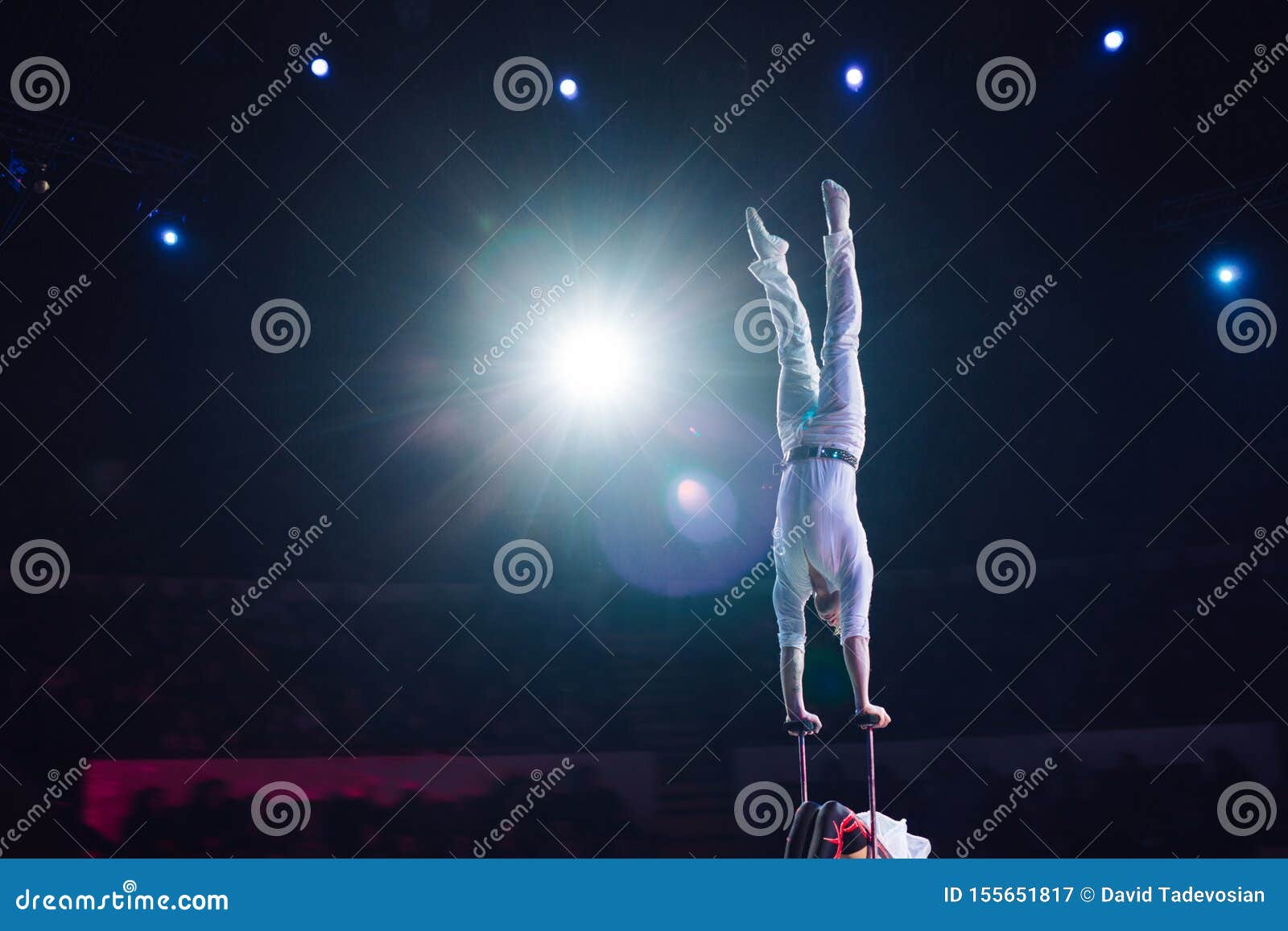 Man`s Aerial Acrobatics in the Circus Arena. Stock Image - Image of ...