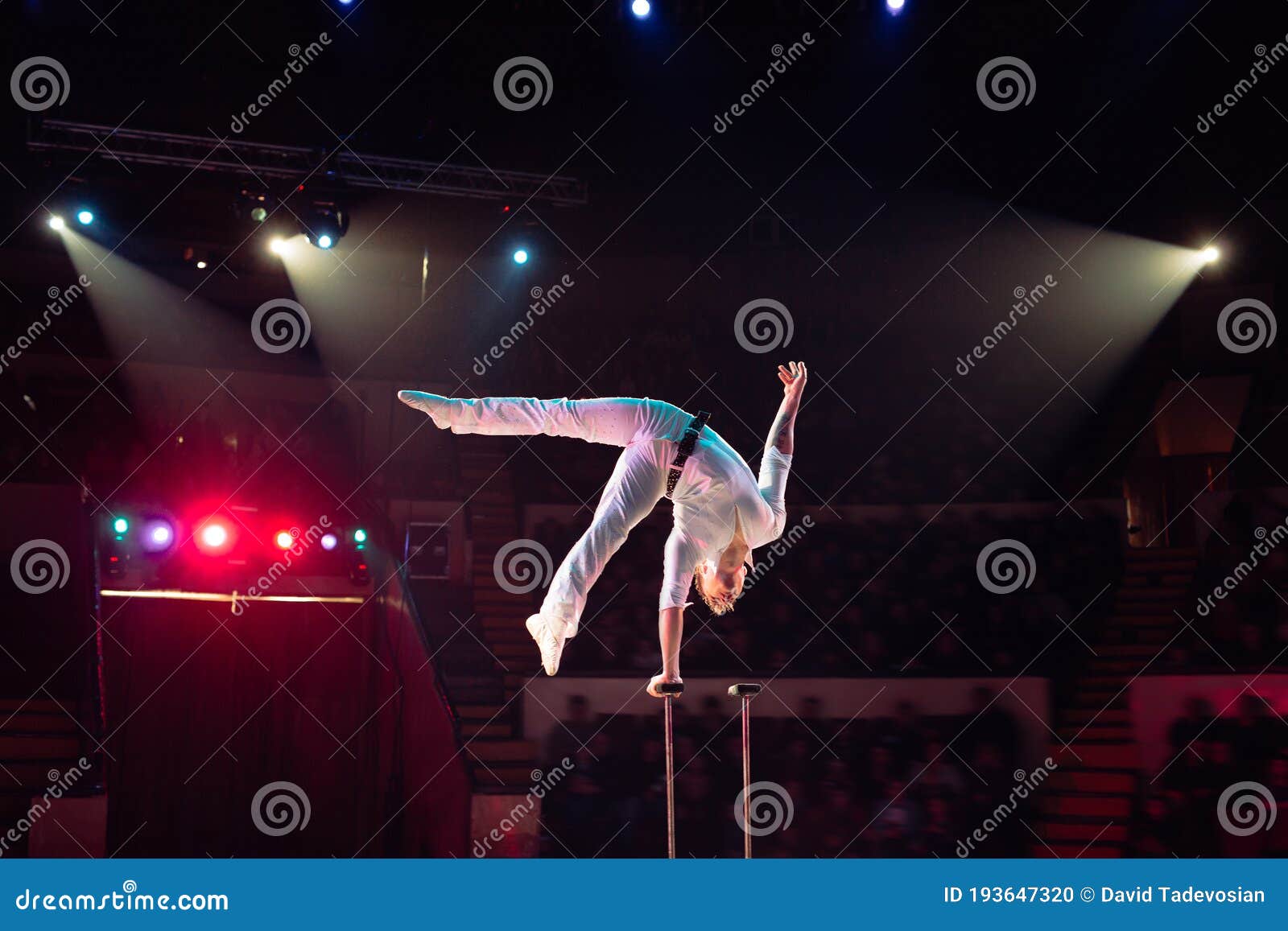 Man`s Aerial Acrobatics in the Circus. Circus Performance Stock Photo ...
