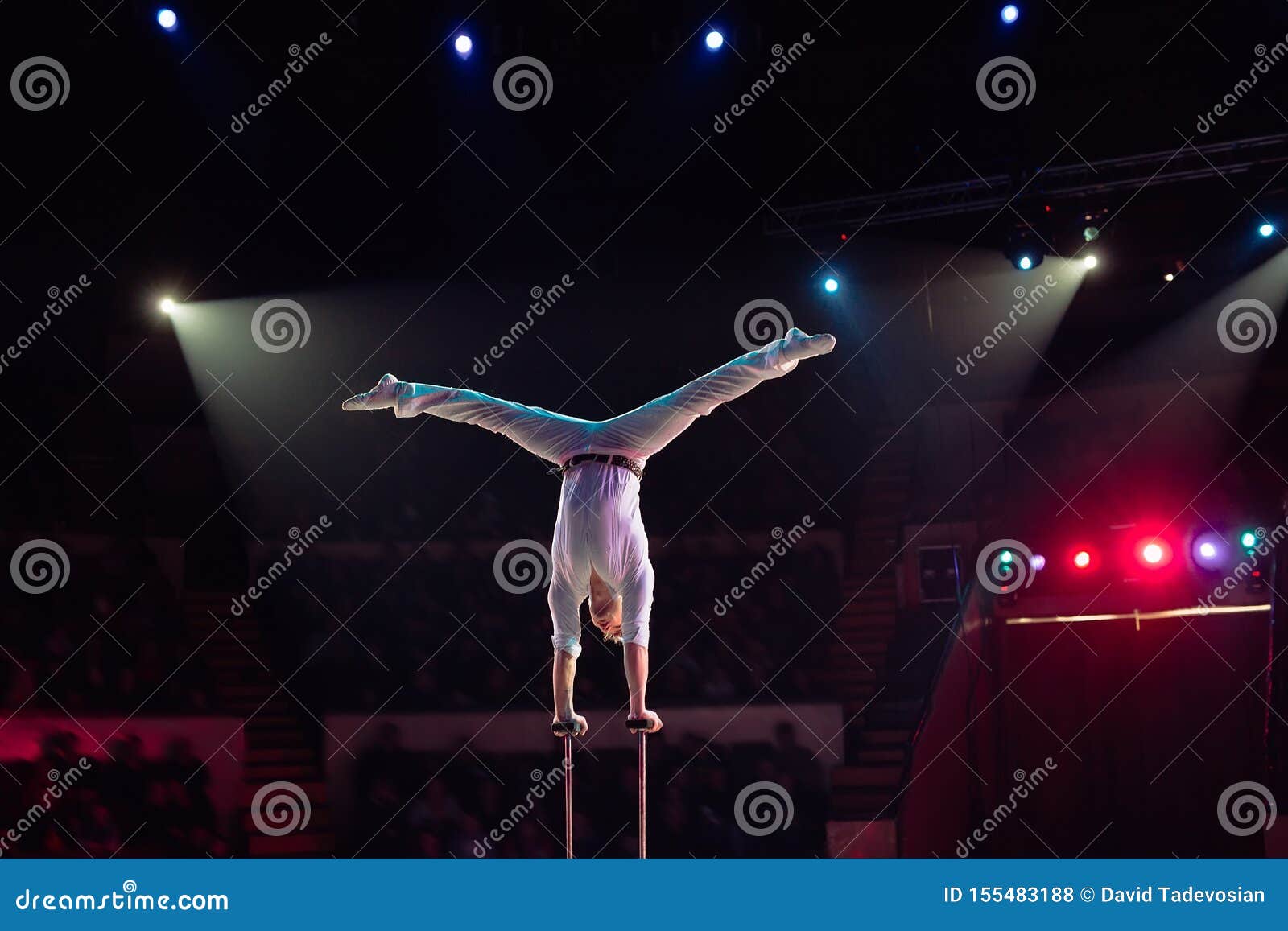 Man`s Aerial Acrobatics in the Circus Ring. Stock Photo - Image of ...
