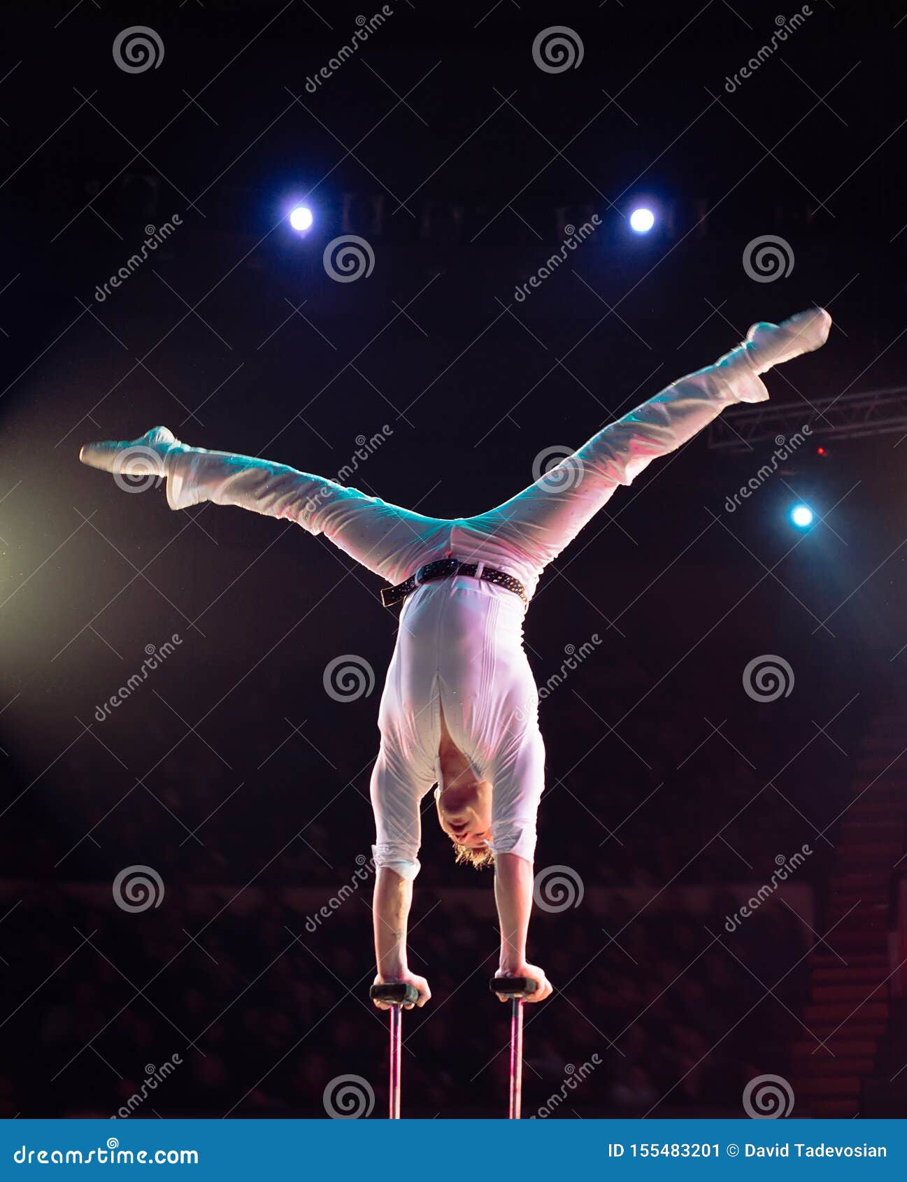Man`s Aerial Acrobatics in the Circus Ring. Stock Image - Image of ...