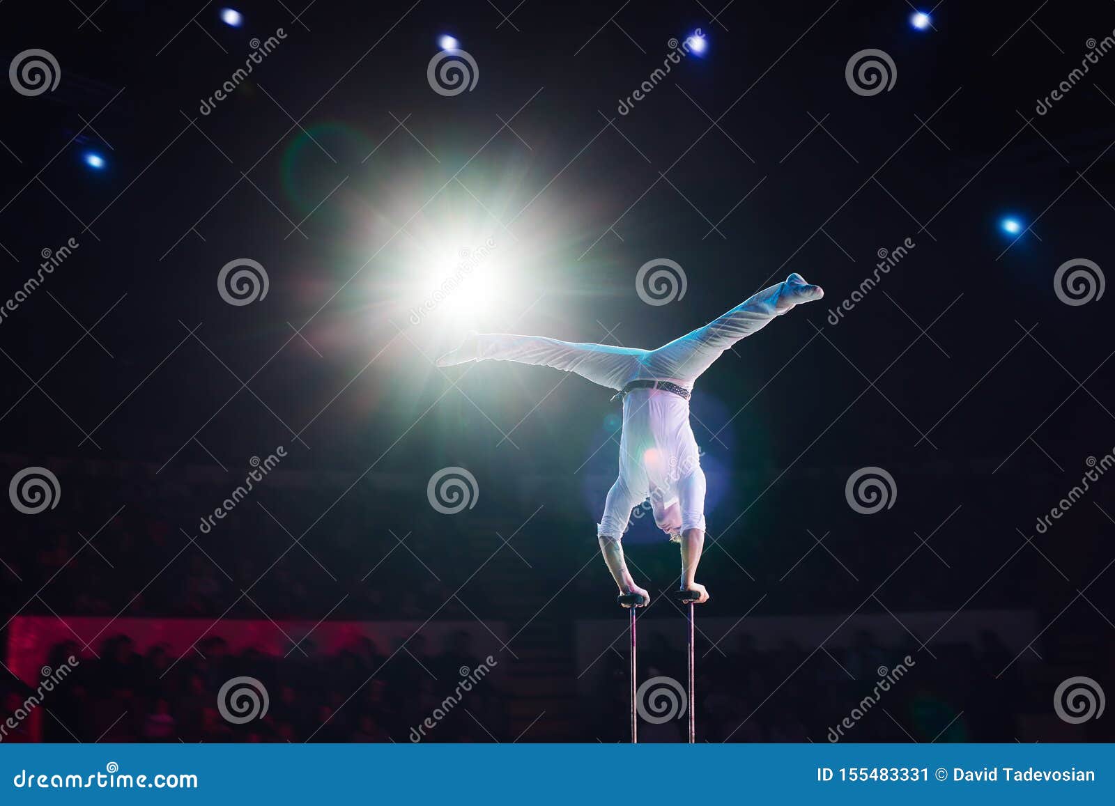 Man`s Aerial Acrobatics in the Circus Ring. Stock Image - Image of ...