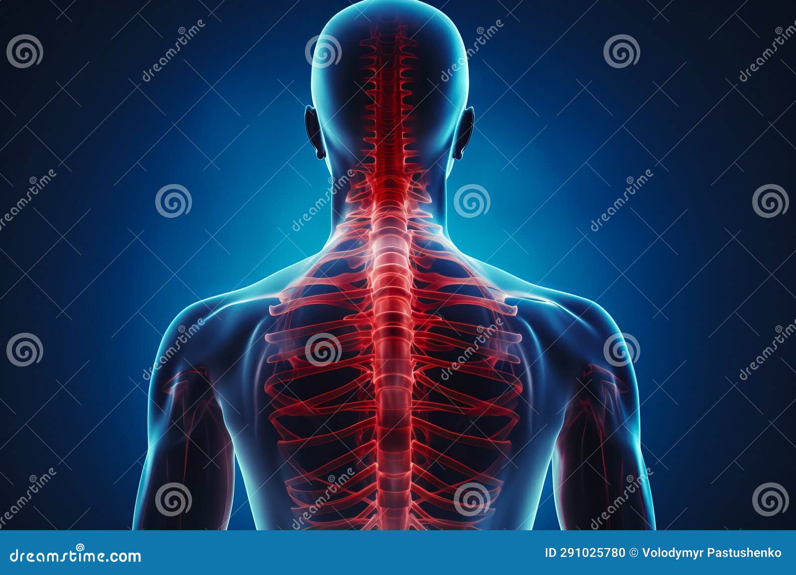 Man S Back with Highlighted Red Highlighted Area. Generative AI Stock ...