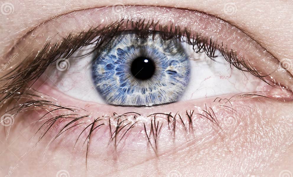 Man s blue eye stock photo. Image of closeup, optic, optician - 15265316